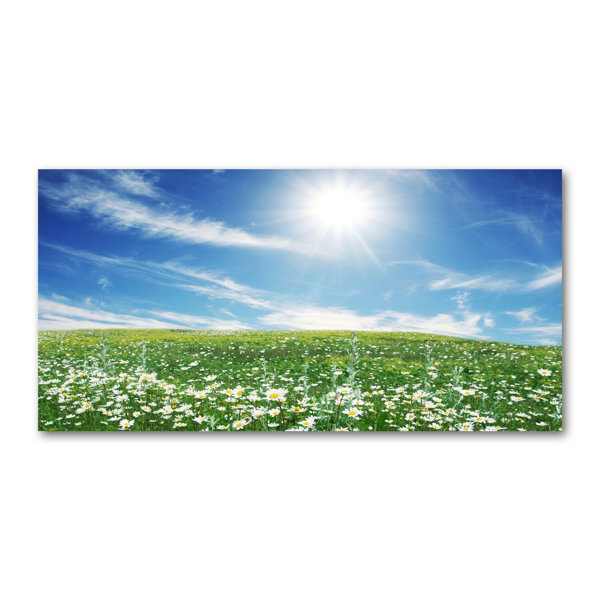 Ebern Designs Wiese - Kunstdrucke auf Leinwand - Wrapped Canvas | Wayfair.de